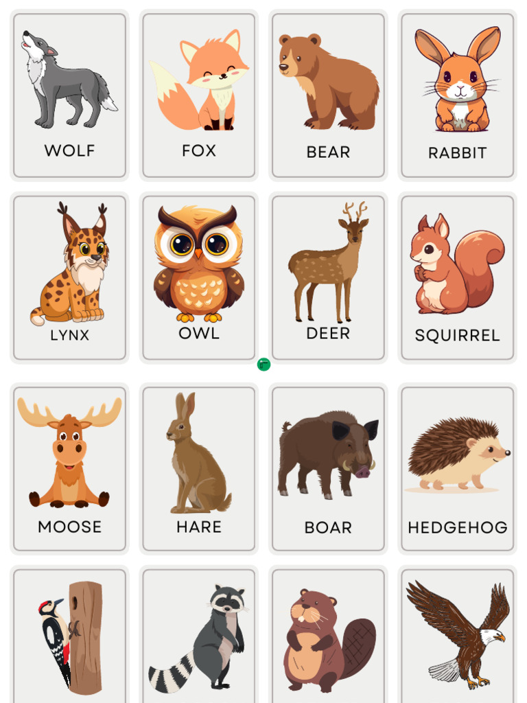 Flashcards Vocabulario Animales Del Bosque Ingles | PDF