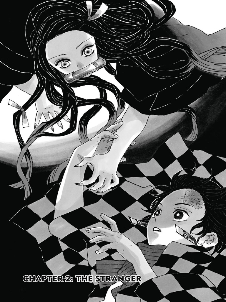 Demon Slayer Chapter | PDF