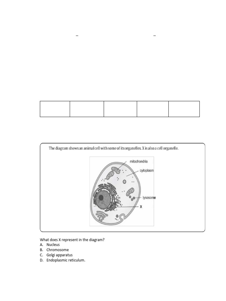 Class 9 HHW Biology 2025-26 | PDF | Cell (Biology) | Cell Nucleus