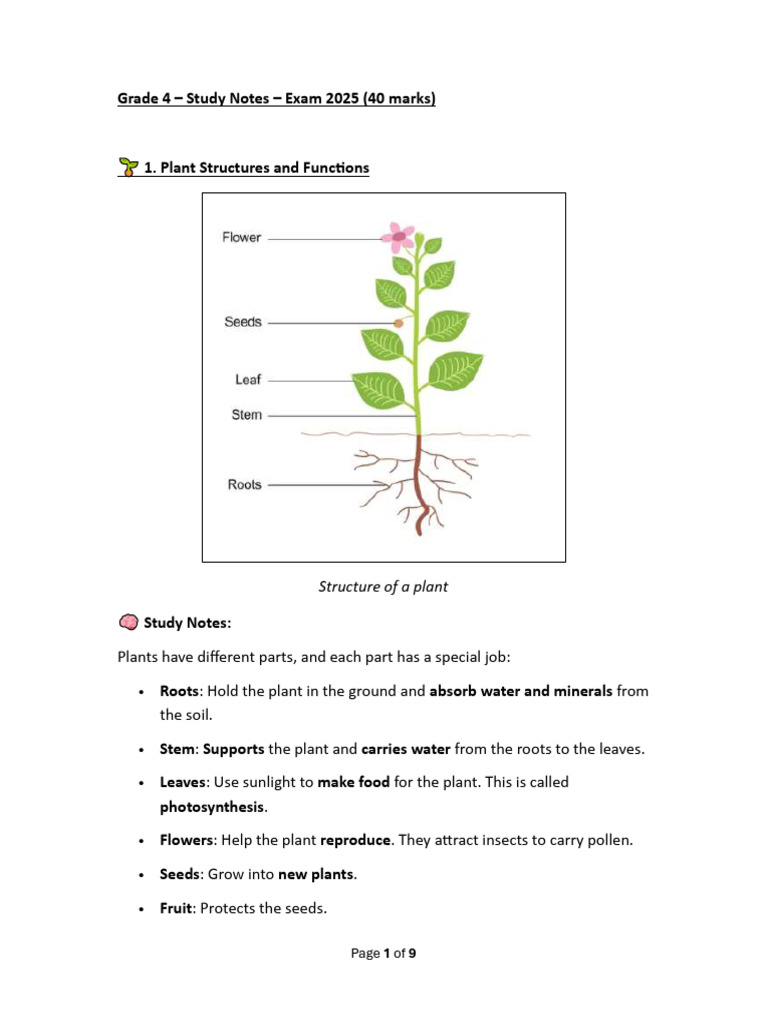 Grade 4 Plant and Material Study Notes | PDF | Plants | Brick