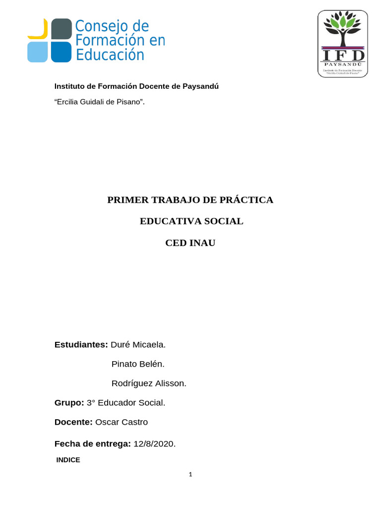 Informe Práctica Educativa en CED Paysandú | PDF | Adultos | La ...