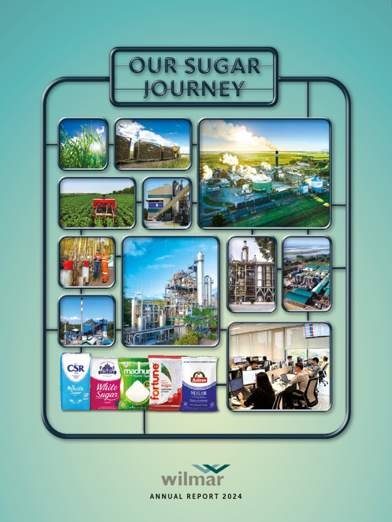 Wilmar International Annual Report 2024 | PDF | Sugarcane | Biofuel