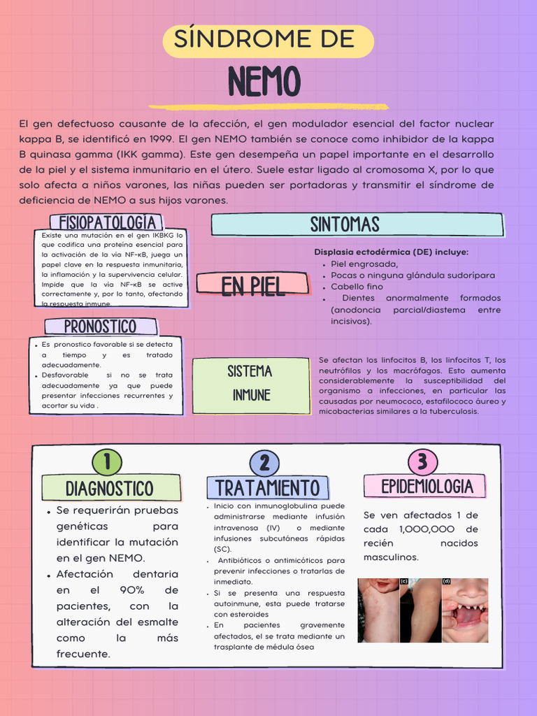 Sindrome de Nemo Grupo 1C - 20250730 - 003411 - 0000 | PDF | Sistema ...
