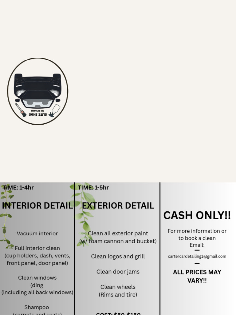Carter Car Detailing Brochure | PDF