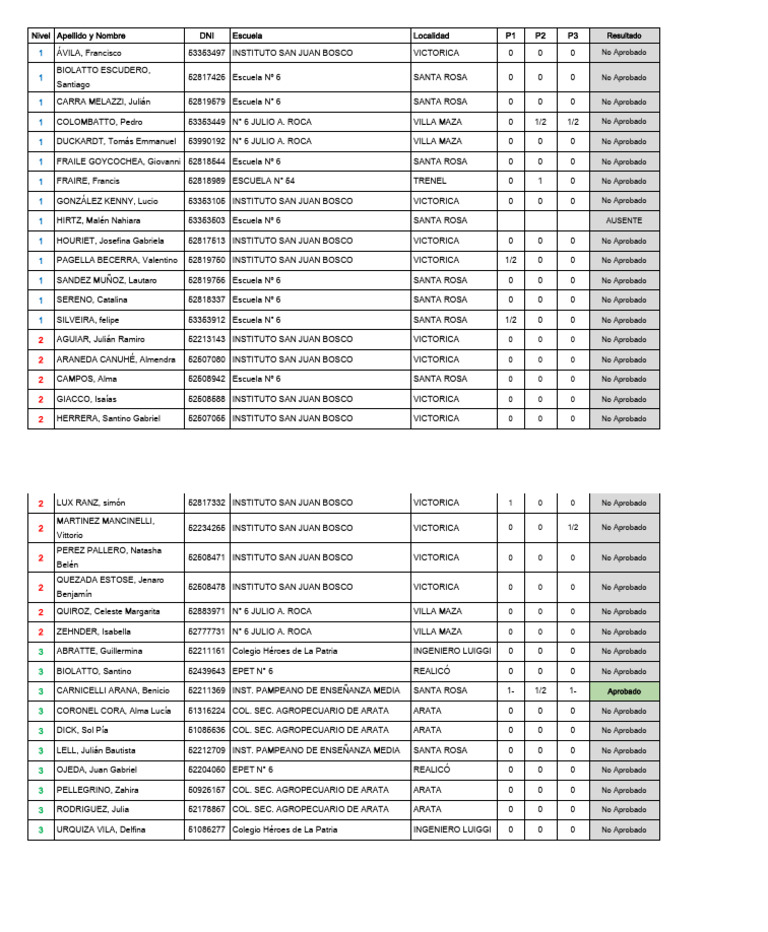Ñandú - Resultados Regional 2024 | PDF