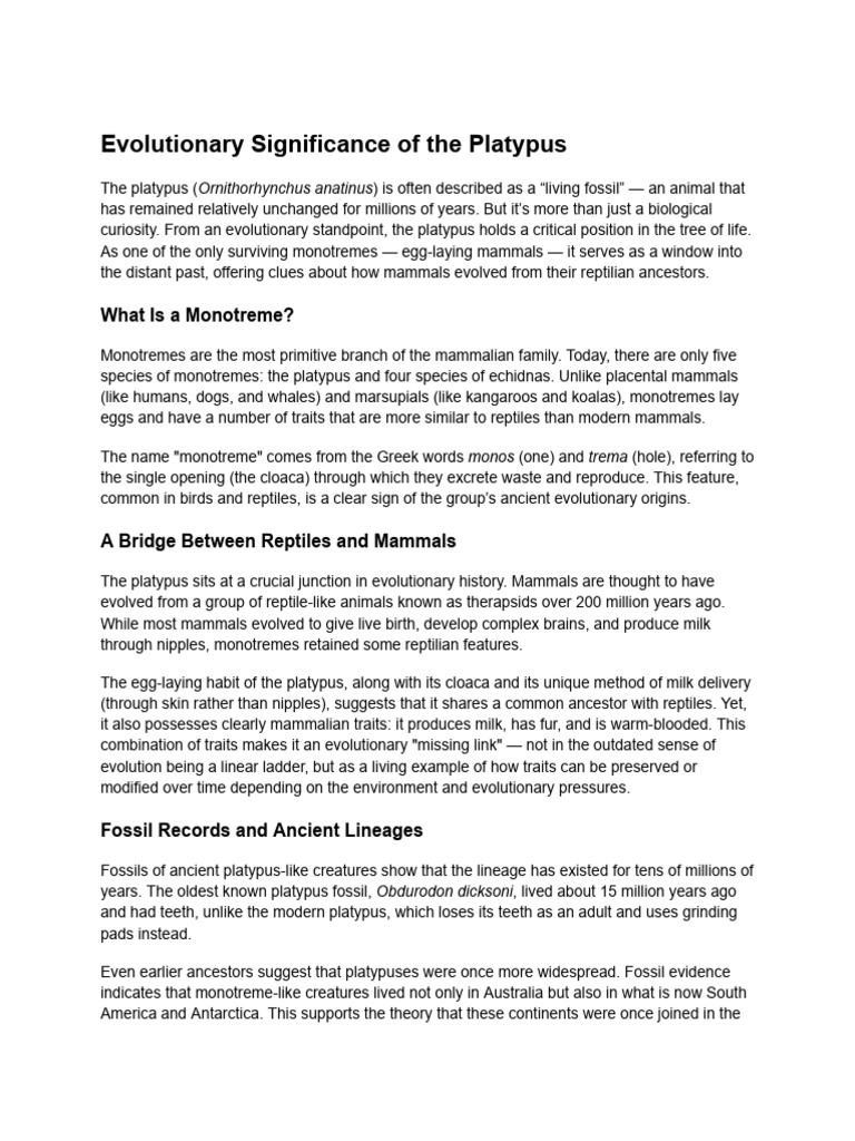 Evolutionary Significance of The Platypus | PDF | Mammals | Evolution