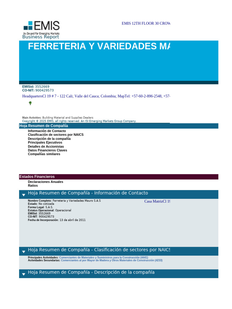 Análisis Financiero Mauro | PDF | Contabilidad | Sector privado