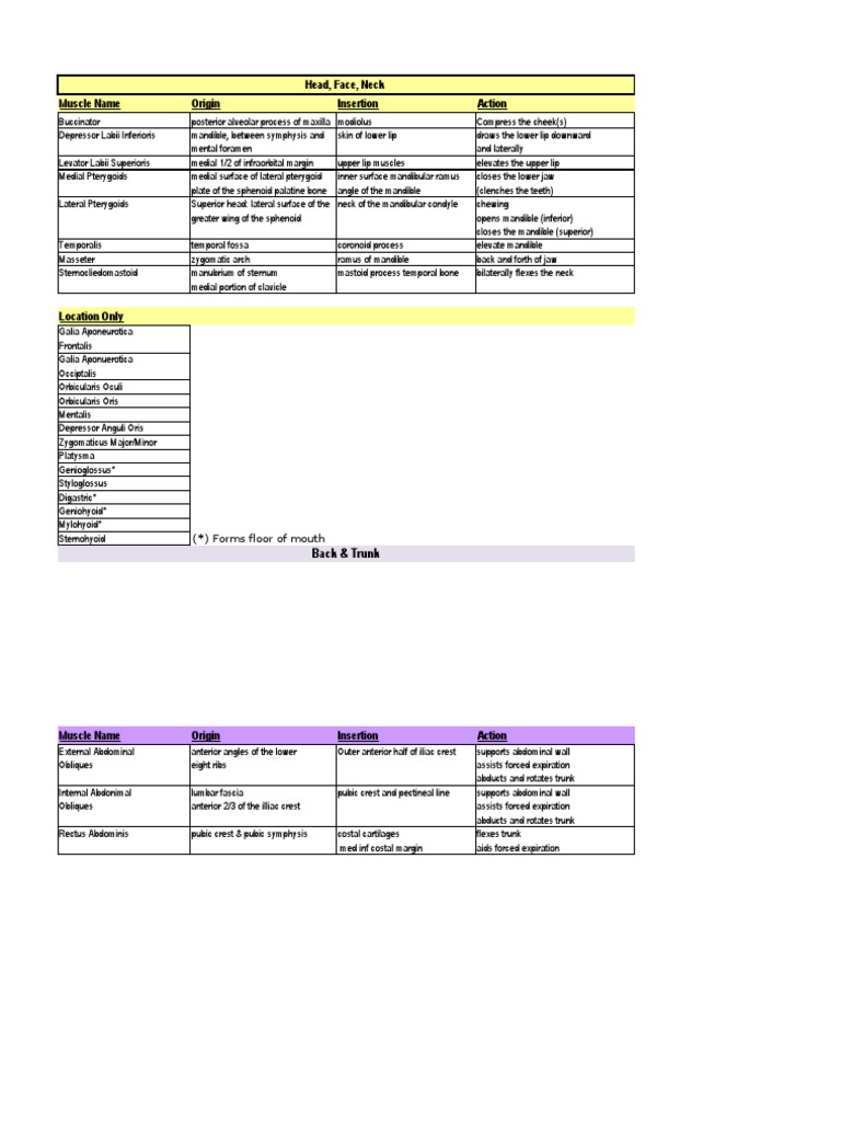 Muscle Origin Insertion and Action Table | PDF