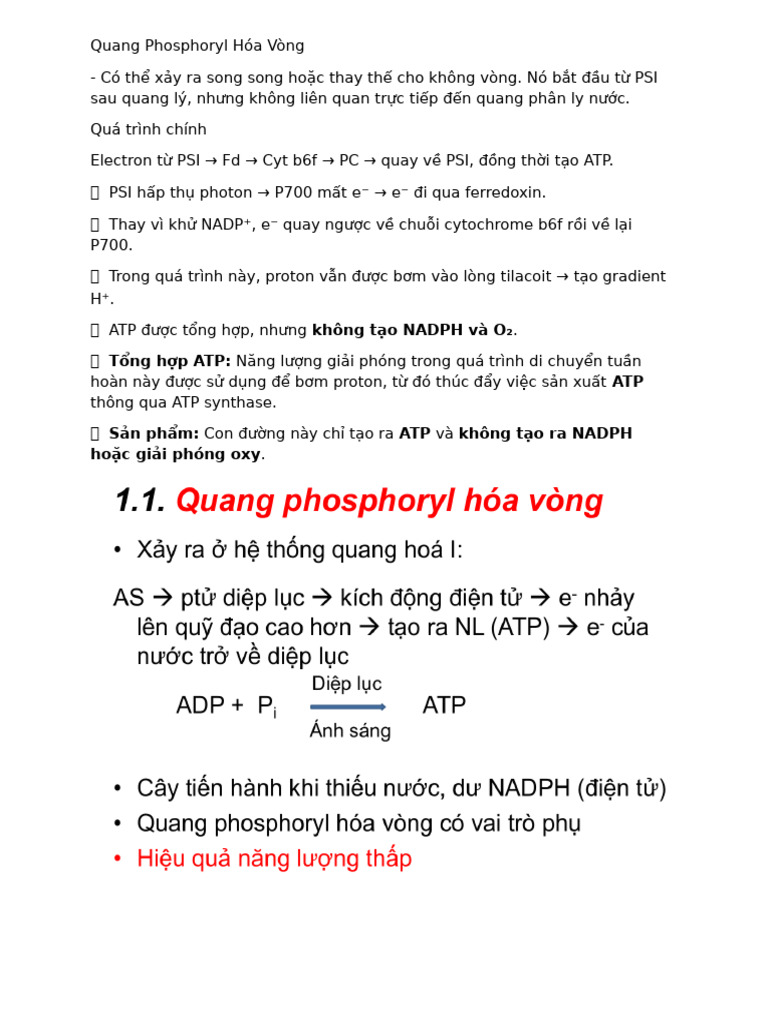 Quang Phosphoryl Hóa Vòng | PDF