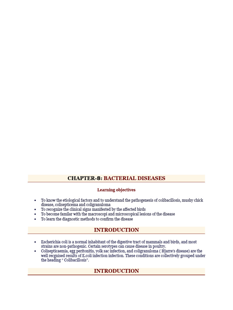 Understanding Colibacillosis in Poultry | PDF | Infection | Salmonella