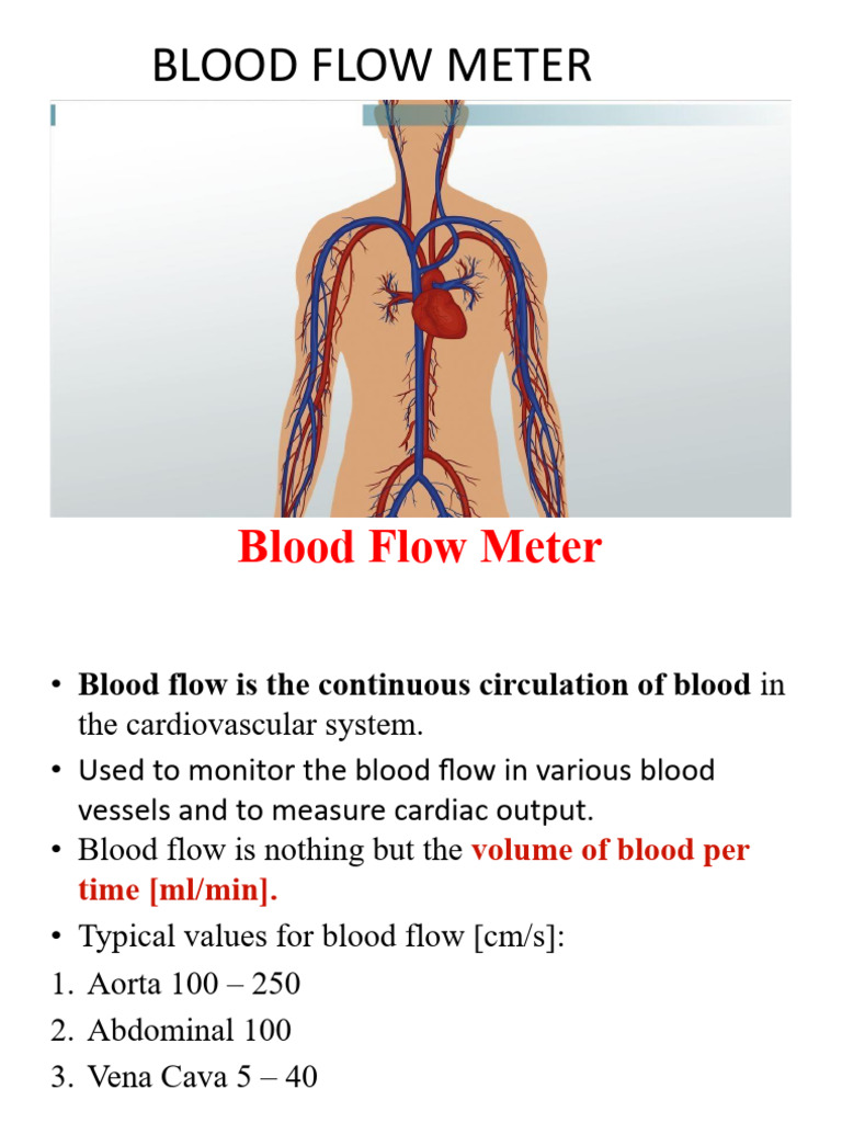 Blood Flow Meter Overview and Types | PDF | Respiratory System ...