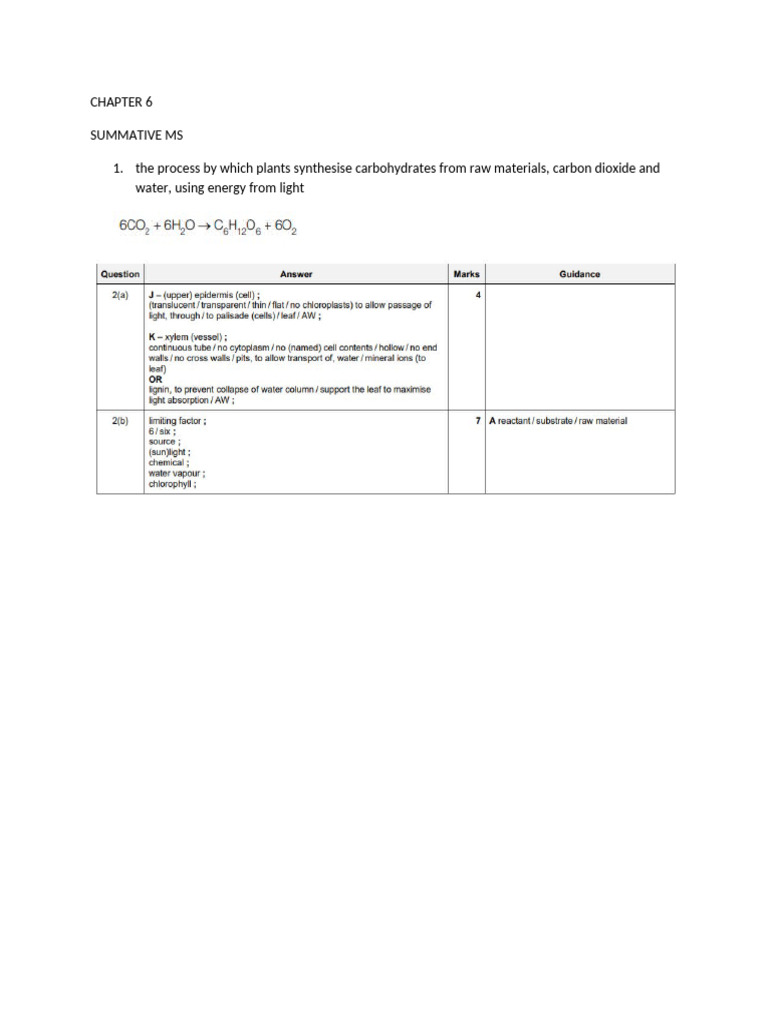 Chapter 6 Ms Summative | PDF