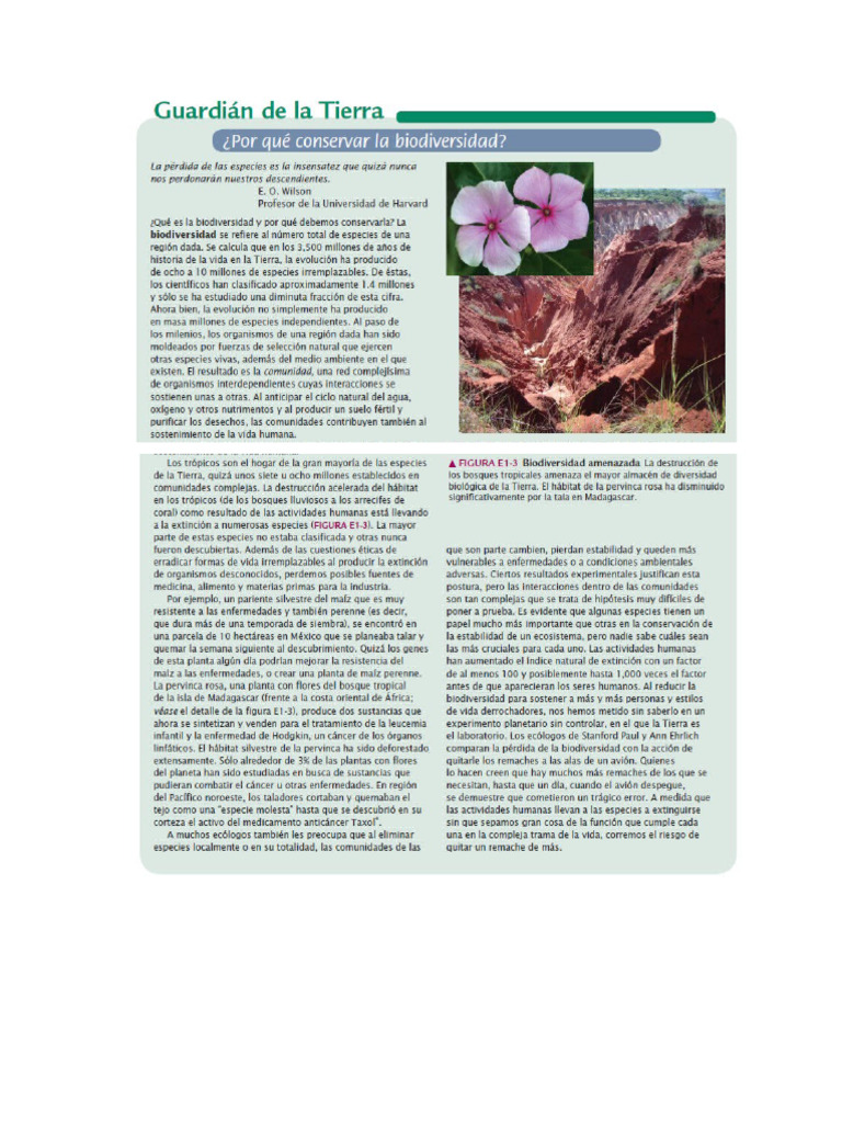 Bio Divers I Dad | PDF