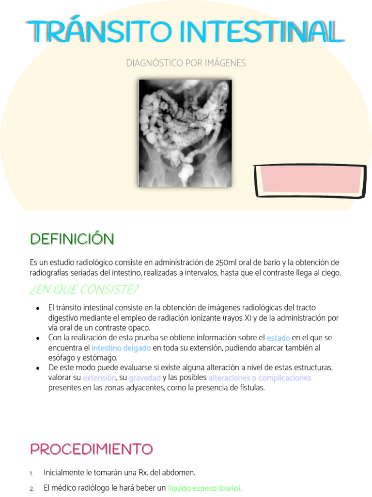 Transito Intestinal Jimena Huerta | PDF | Tracto gastrointestinal ...