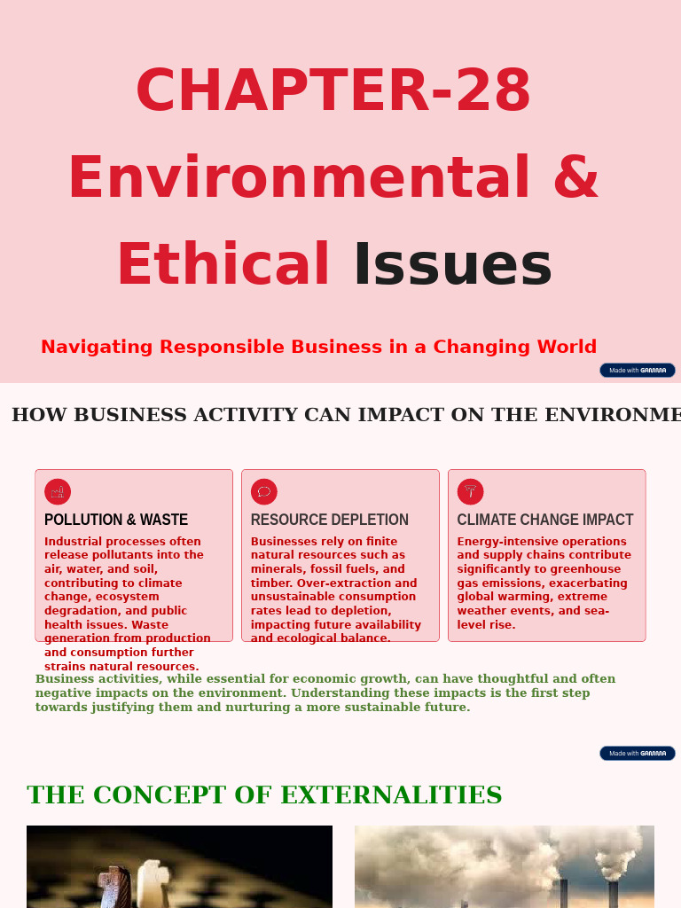 Chapter 28 Environmental and Ethical Issues | PDF | Externality ...