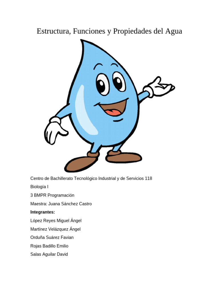 Estructura, Funciones y Propiedades Del Agua Equipo AngelMtzV | PDF ...