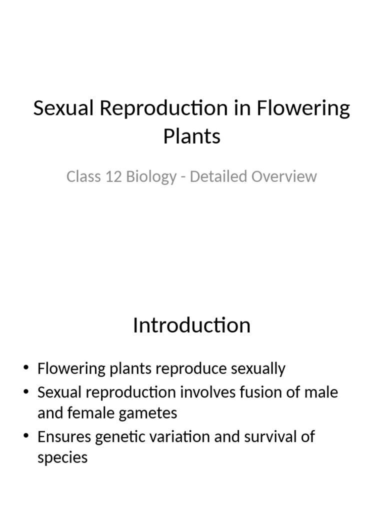 Sexual Reproduction in Flowering Plants | PDF | Flowers | Seed