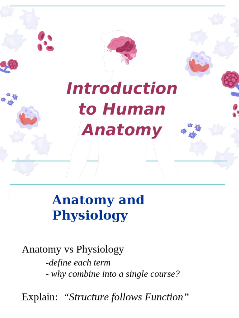 Overview of Human Anatomy Concepts | PDF | Anatomical Terms Of Location ...