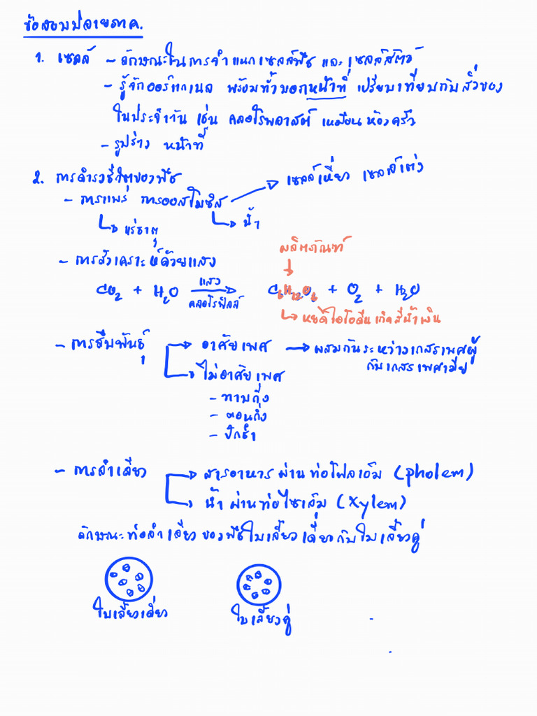 แนวข้อสอบ1 2568 | PDF