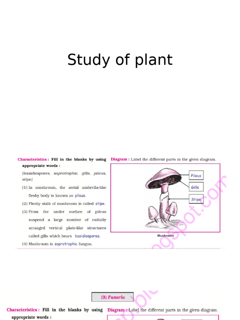 Science Practical Solution | PDF