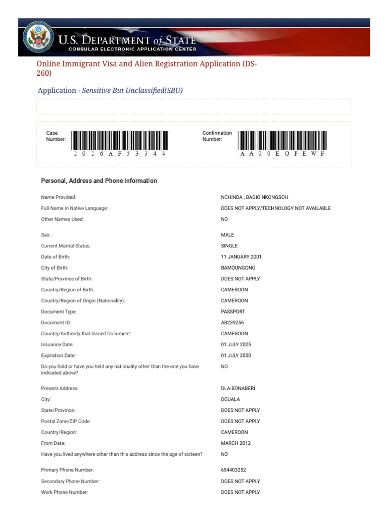 DS-260 Immigrant Visa Application Details | PDF | Social Security ...