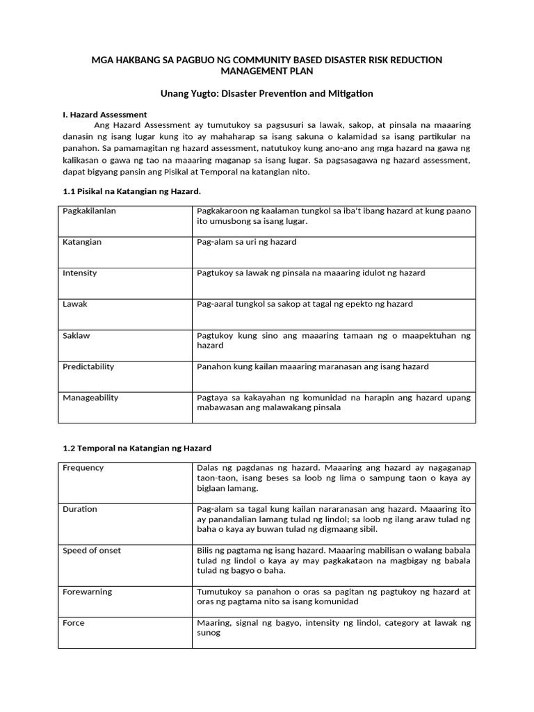 DRRM Plan Sample Template | PDF