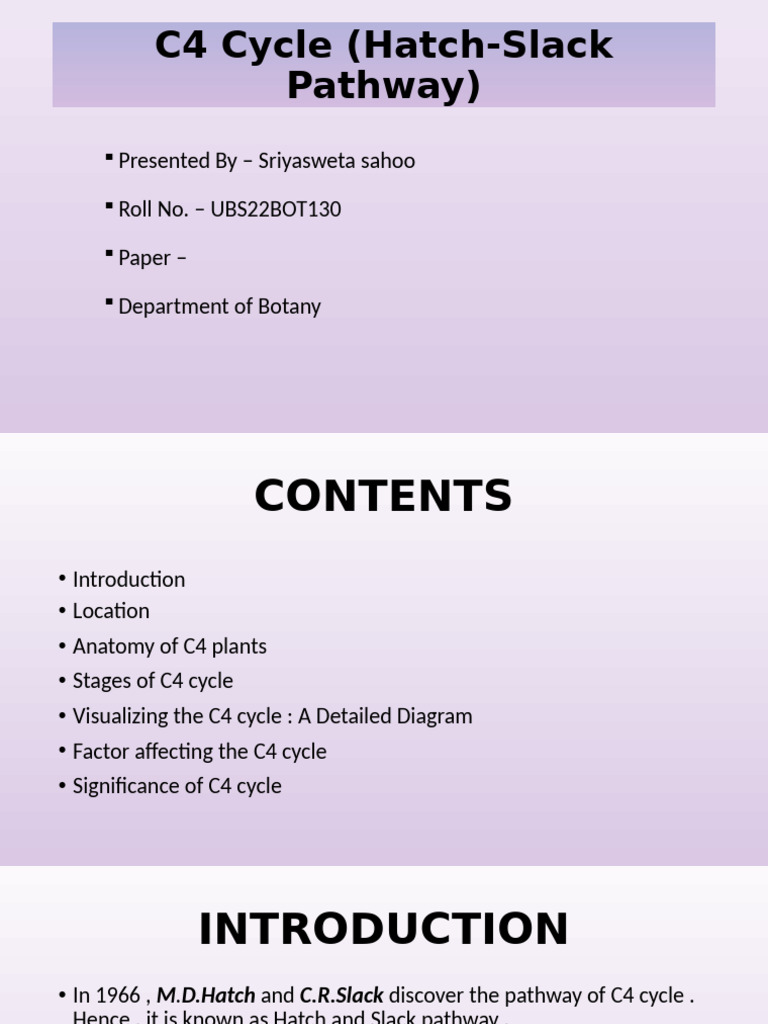 Understanding the C4 Cycle Pathway | PDF | Biochemistry | Chemistry