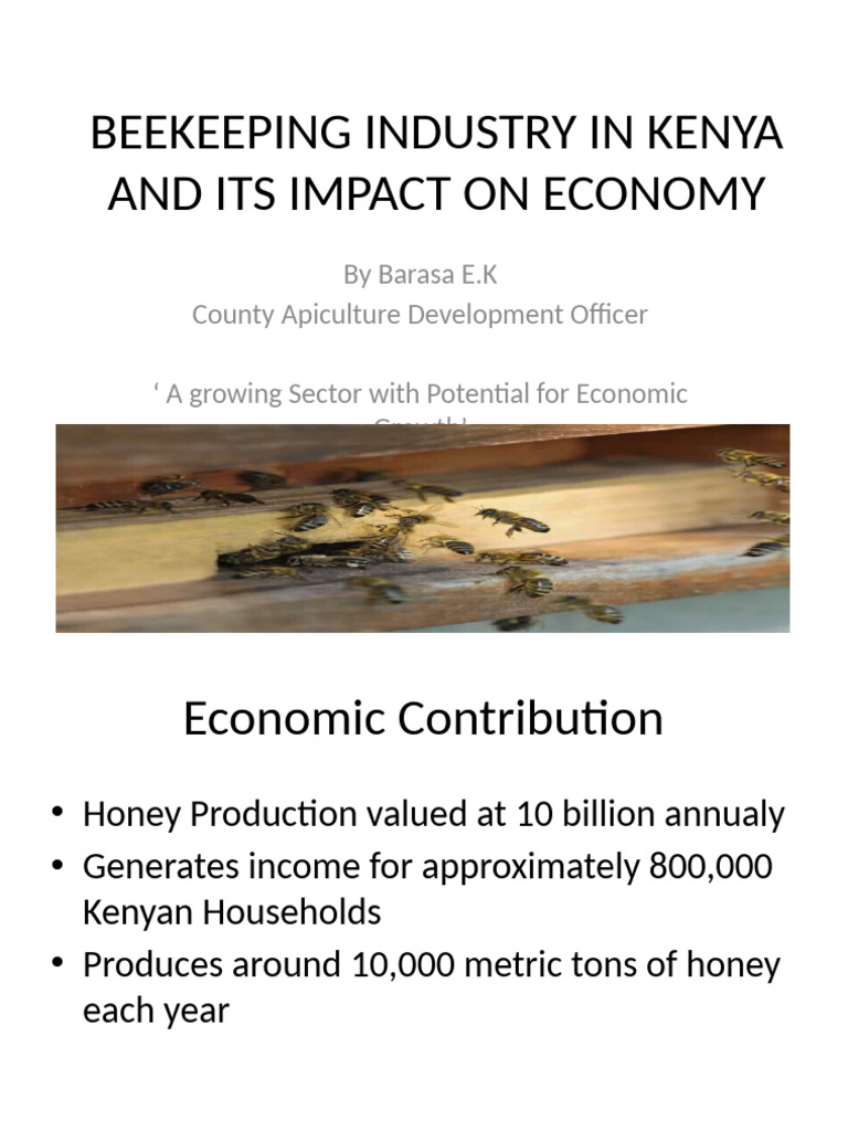 Economic Impact of Beekeeping in Kenya | PDF | Beekeeping | Honey Bee