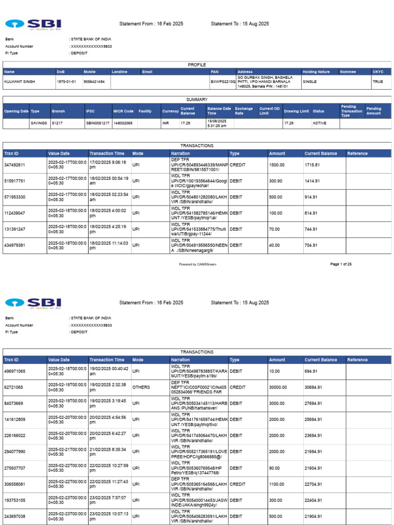 SBI Account Statement Summary 2025 | PDF | Debits And Credits | Banks