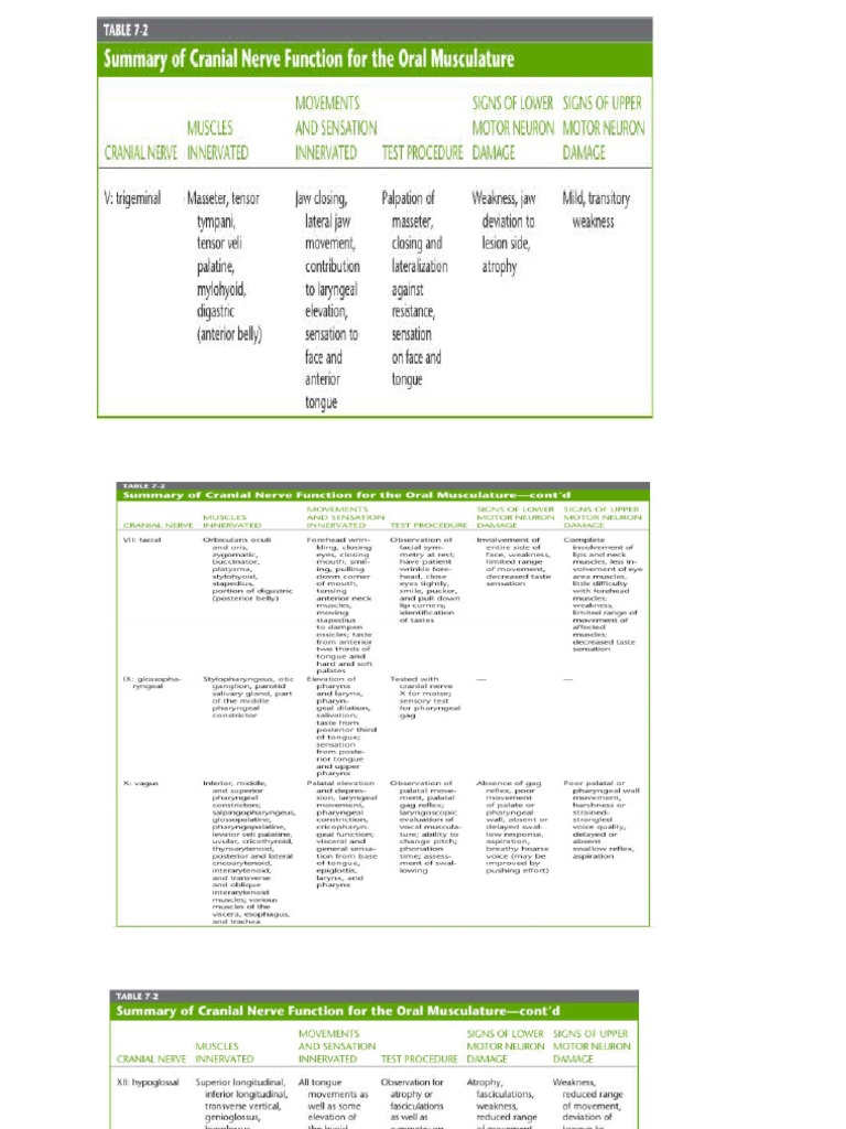 Cranial Nerves Sign | PDF