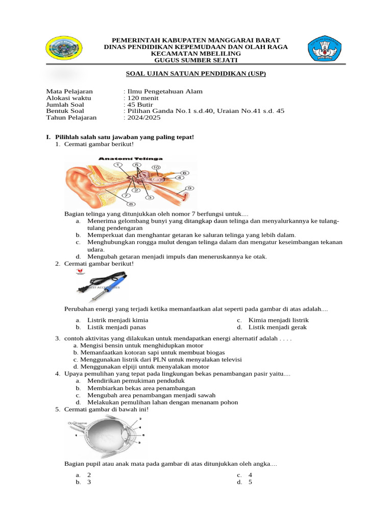 Soal Usp Ipa Kelas 6 | PDF