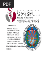 Goat Skeletal Anatomy Overview | PDF | Vertebra | Vertebral Column