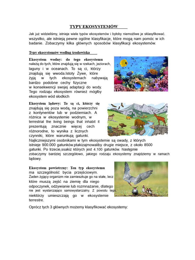 TYPY EKOSYSTEMÓW, Historia Prochu, Papier, Kompas, Broń Palna | PDF