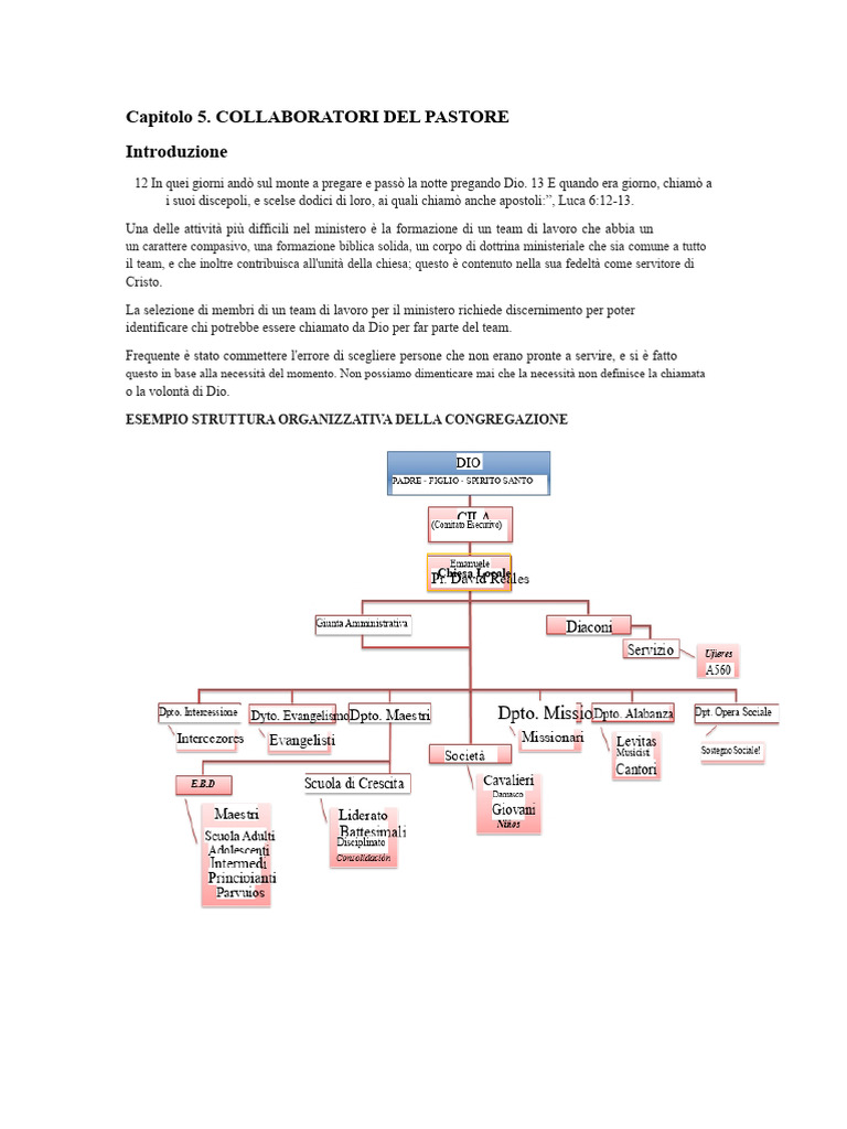 Cap. 5 Collaboratori Del Pastore | PDF