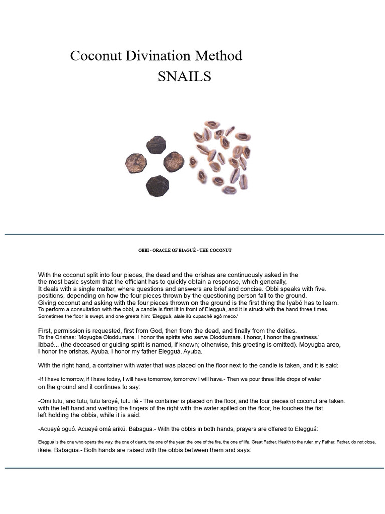 Coconut Divination: Obbi Method Guide | PDF | Divination