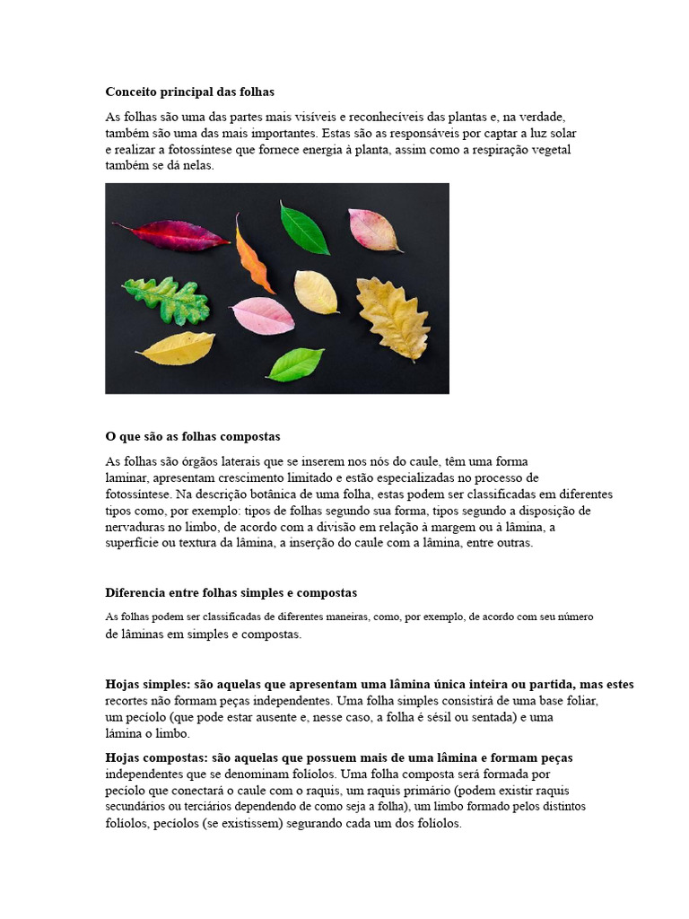 Tipos e Exemplos de Folhas Compostas | PDF | Folha | Botânica