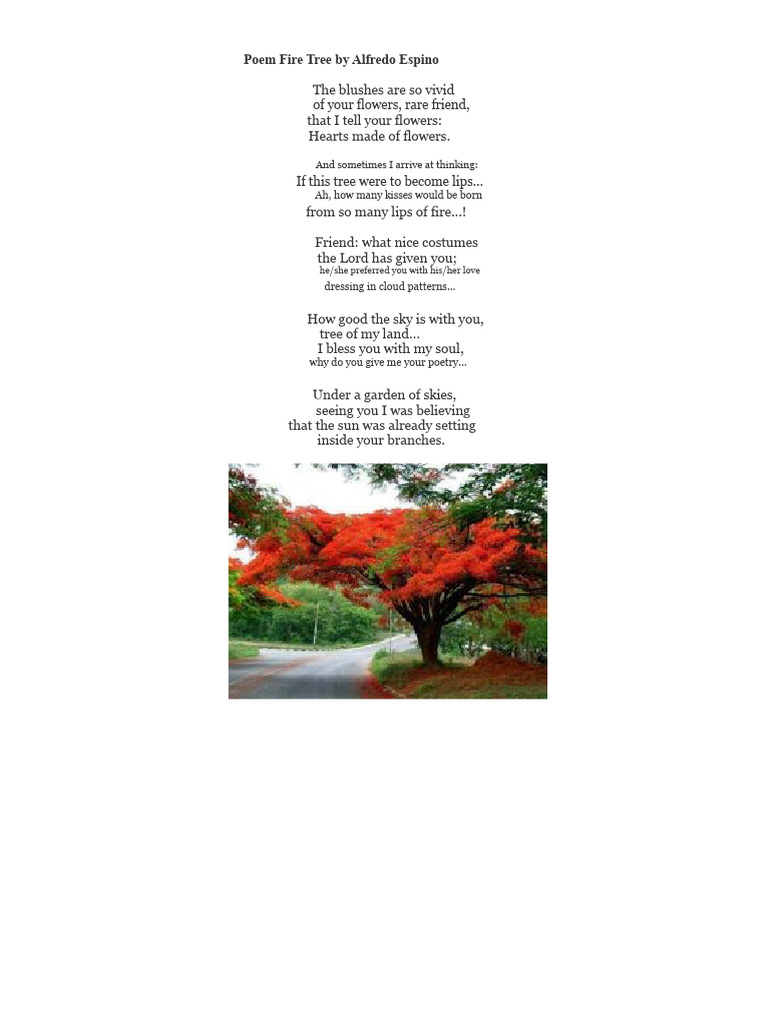 Salvadoran Poetry Anthology | PDF