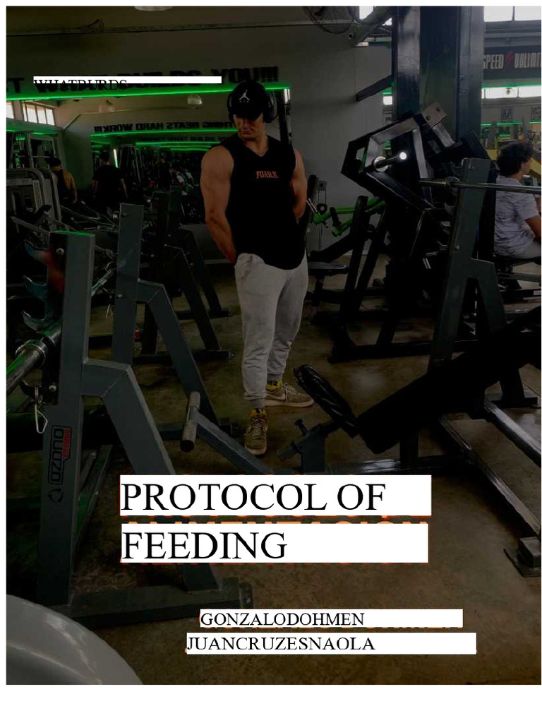 Feeding Protocol Seba Sanchez | PDF | Meal | Steak