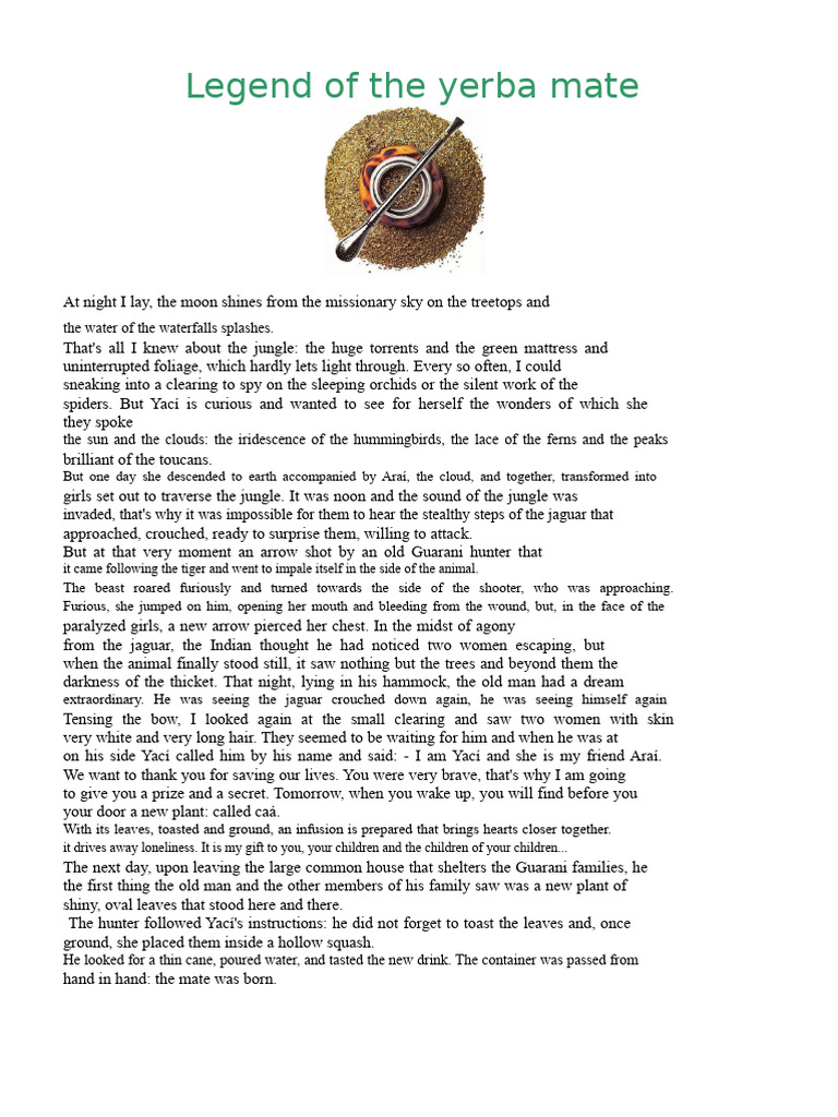 The Legend and Preparation of Yerba Mate | PDF