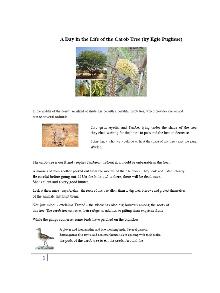 A Day in The Life of The Carob Tree | PDF | Trees | Mouse