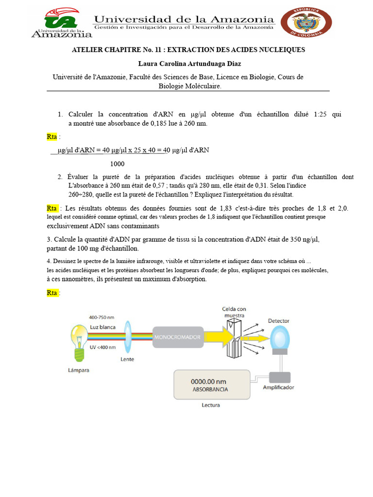 Atelier Chapitre 11 - Extraction Des Acides Nucléiques | PDF | Acide ...