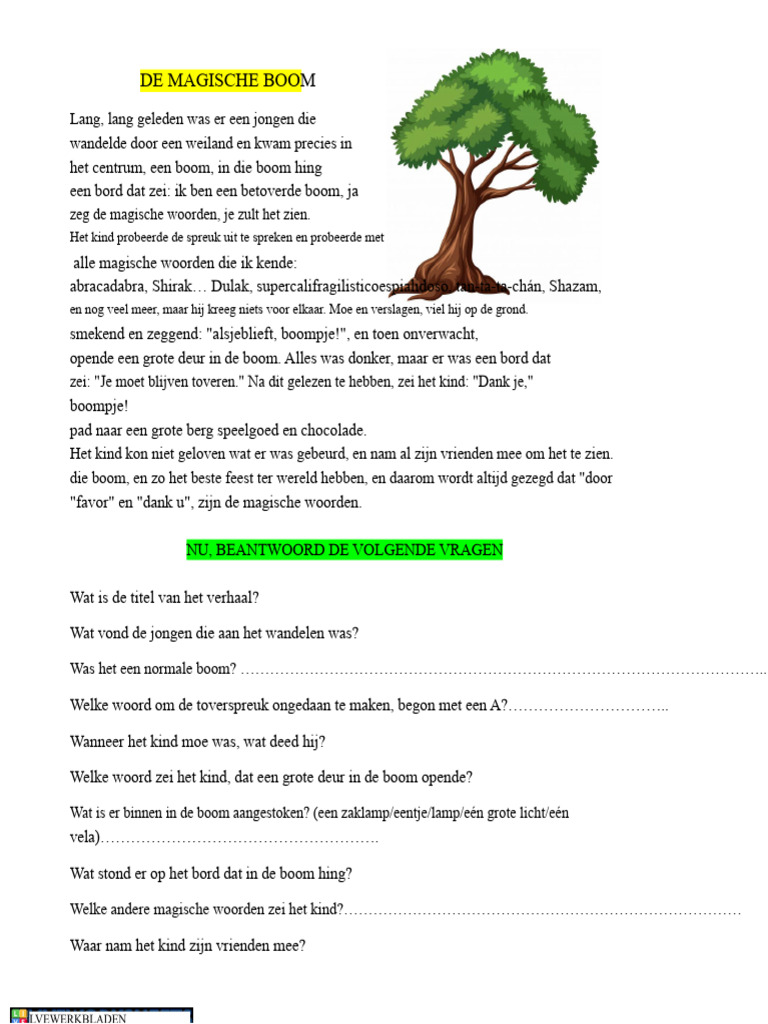 De Magische Bom | PDF