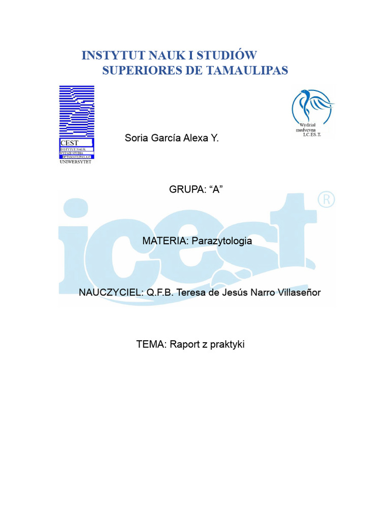 Raport Z Praktyki Technicznej Fausta | PDF