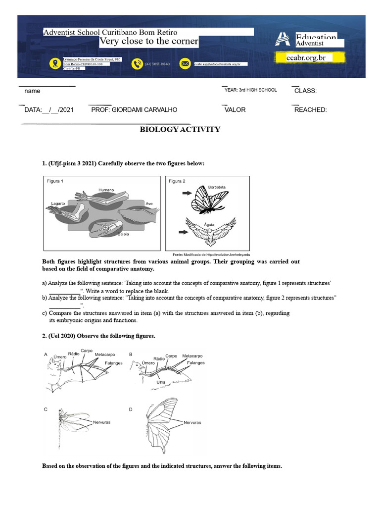Comparative Anatomy and Evolution Activities | PDF | Homology (Biology ...