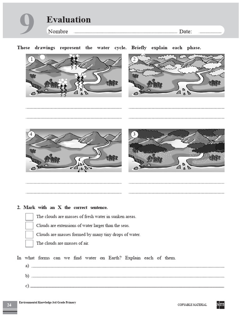 3rd Grade Environmental Knowledge Evaluation | PDF