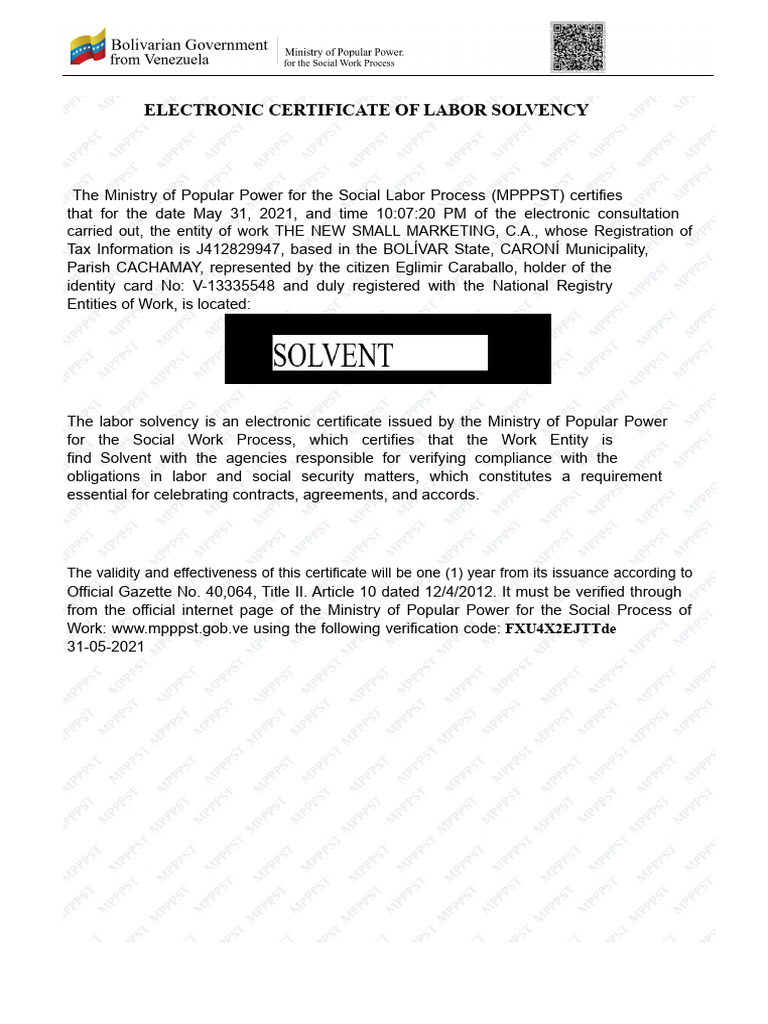 Electronic Labor Solvency Certificate | PDF