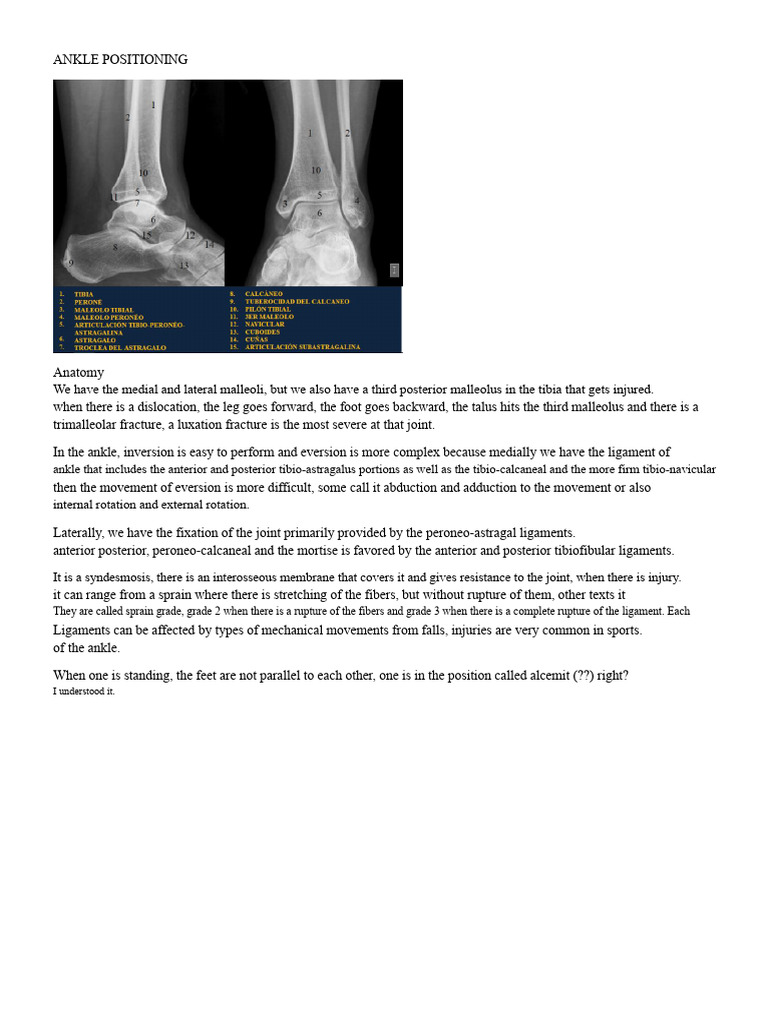 Ankle and Leg Projections X-Ray | PDF | Ankle | Foot