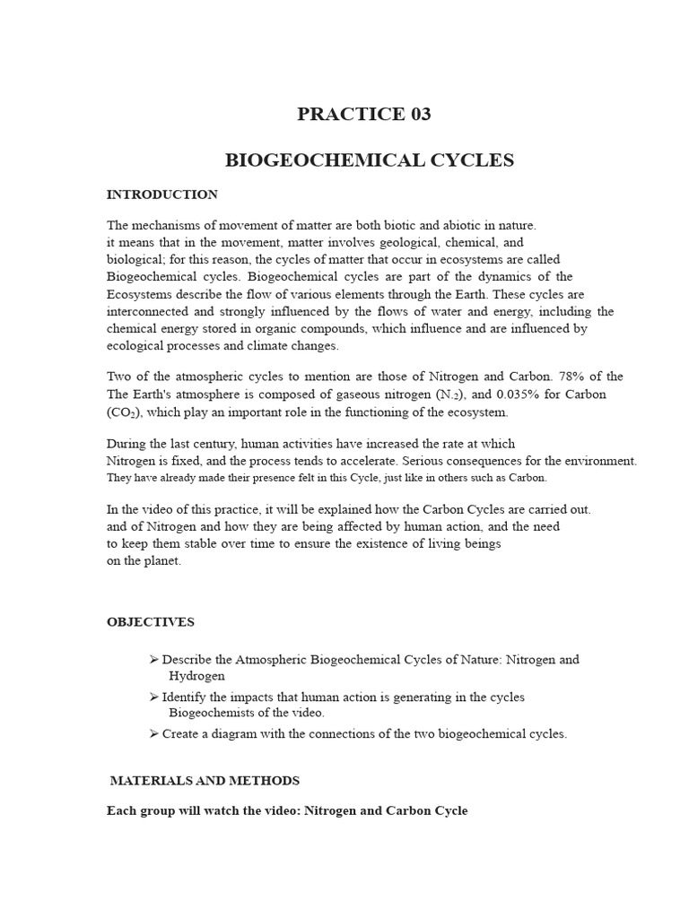 Practice 03 Biogeochemical Cycles | PDF | Ecosystem | Ecology