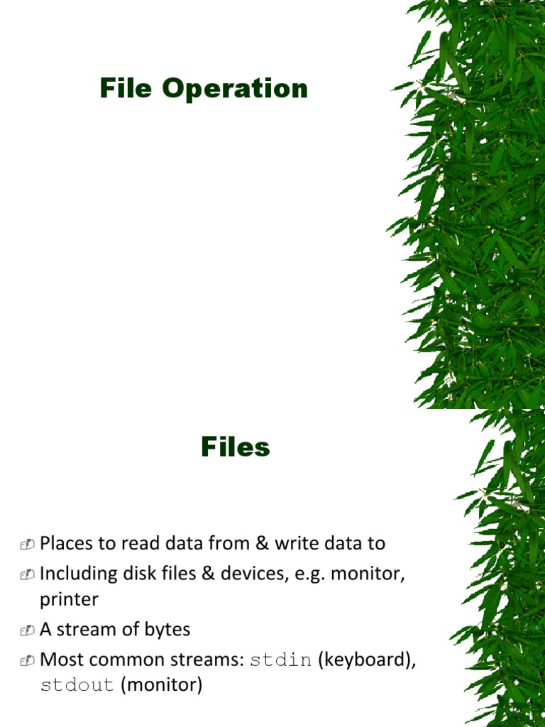 File Operations and Handling Techniques | PDF | Computer File | Areas ...