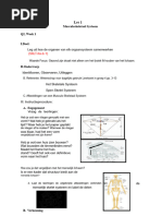 Anatomie Van Het Paard | PDF